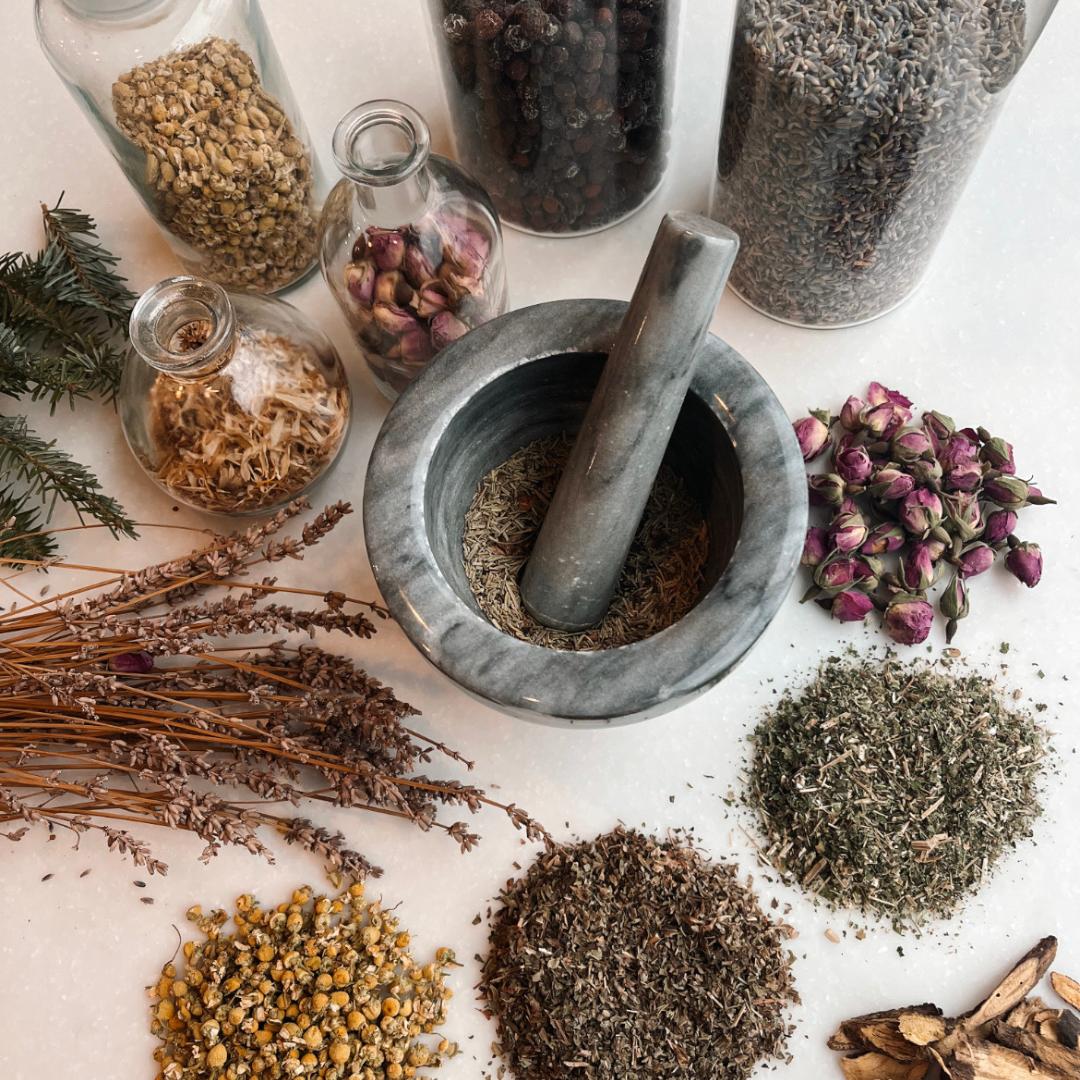 The Power of Herbs: How Ancient Wisdom Enhances Modern Wellness – Herb ...